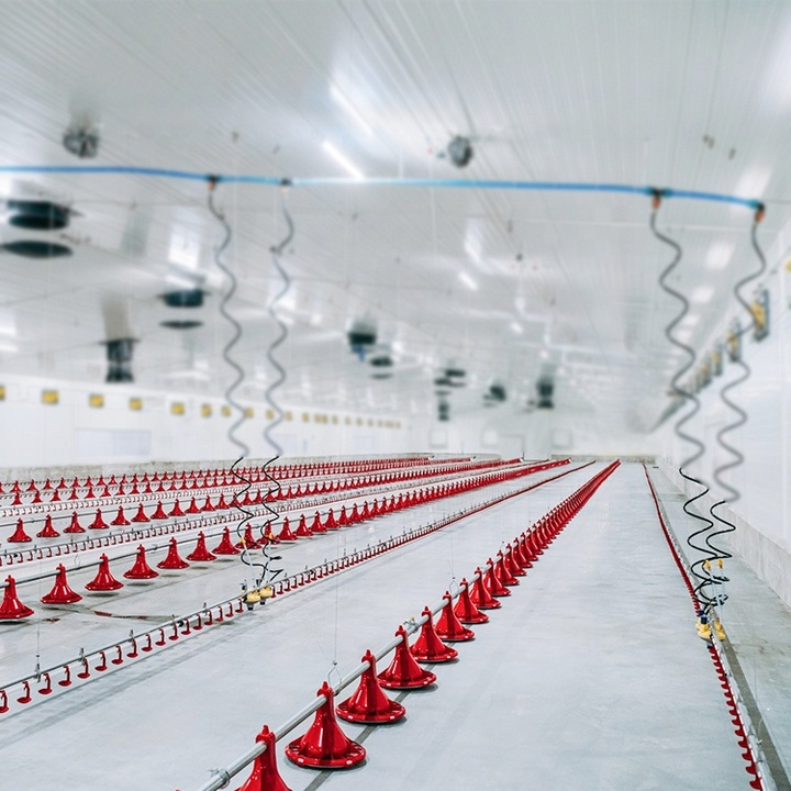 Ultimate Guide to Building an Efficient Chicken Cage Farming System