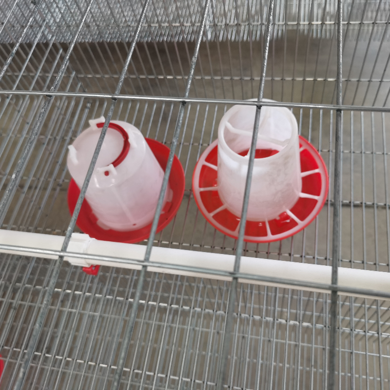 Boost Poultry Farm Efficiency with Automated Chicken Cages