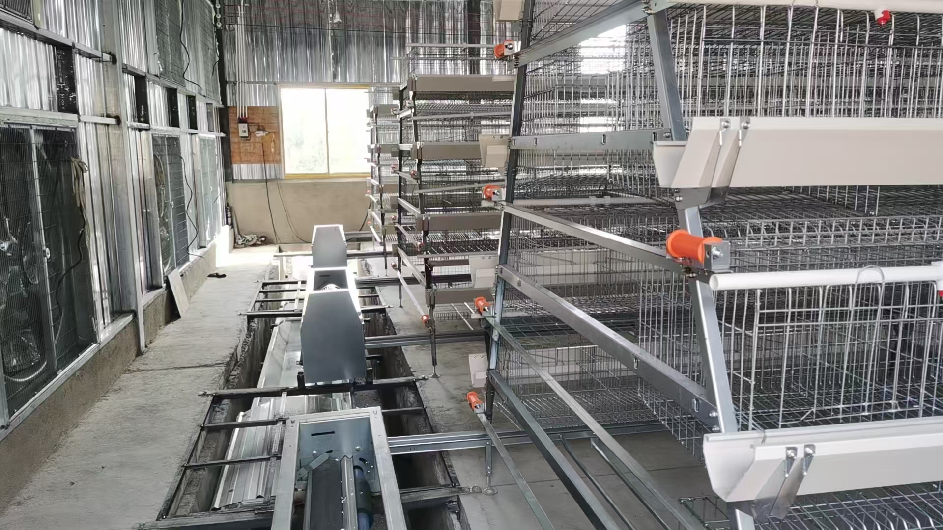 Closed vs. Open Chicken Houses: Key Differences, Pros, and Cons